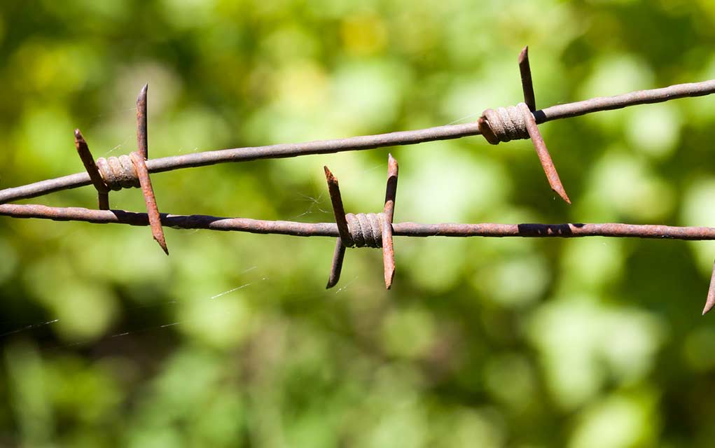 Fortify Your Perimeter: DIY Defenses for Your Home | The Survival Guide Fortify Your Perimeter: DIY Defenses for Your Home | The Survival Guide