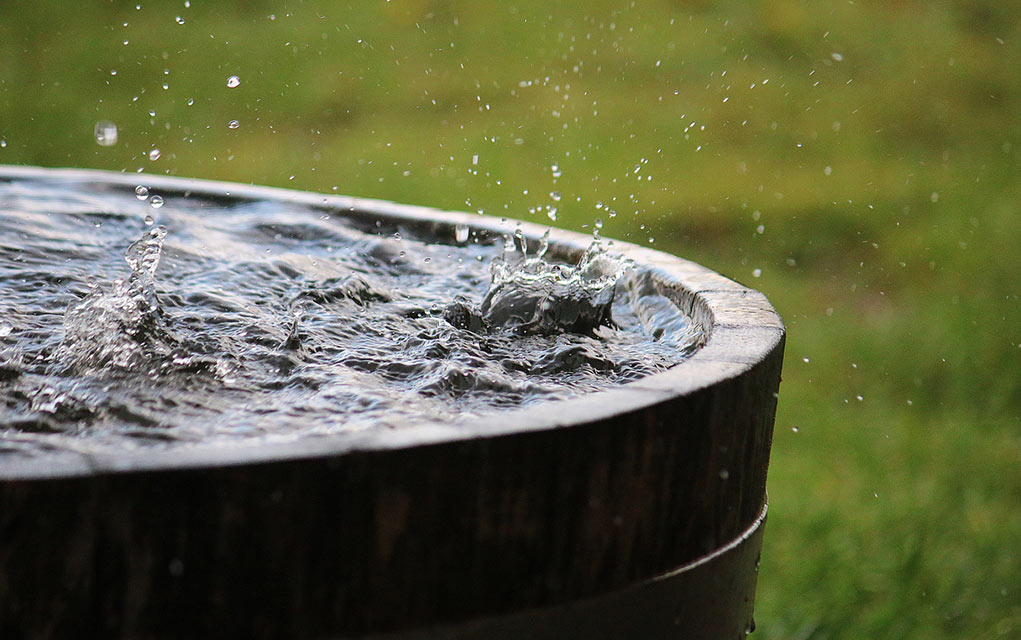How to Build a Rainwater Collection System | The Survival Guide