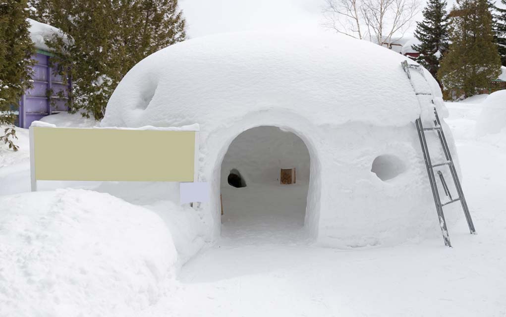 Survival Shelters for All Weather | The Survival Guide