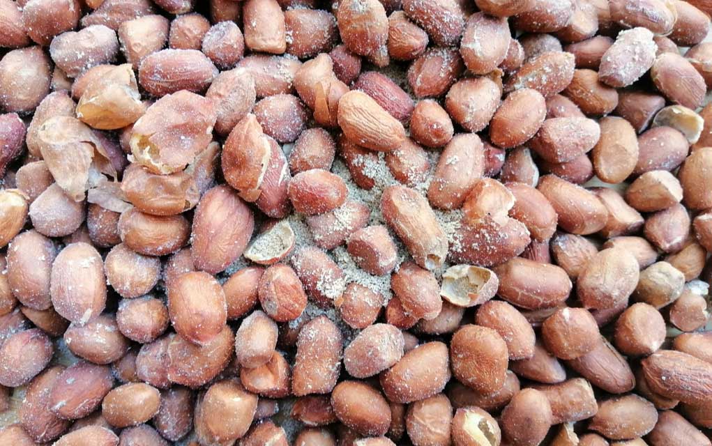 Don’t Toss That Rancid Food… | The Survival Guide